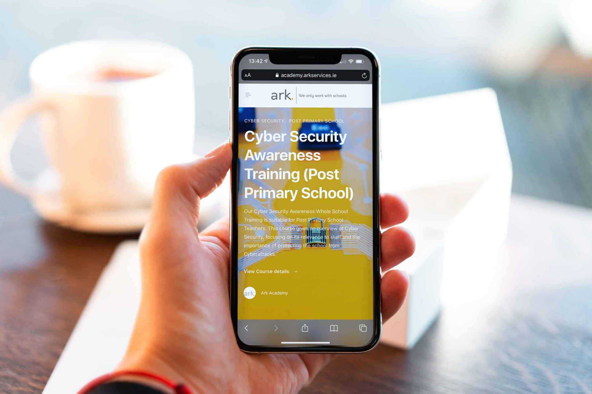 Staff Training for Schools - The Ark Academy™